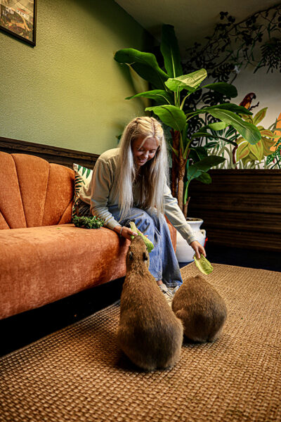 New capybara café offers unique animal experience in Coeur d’Alene